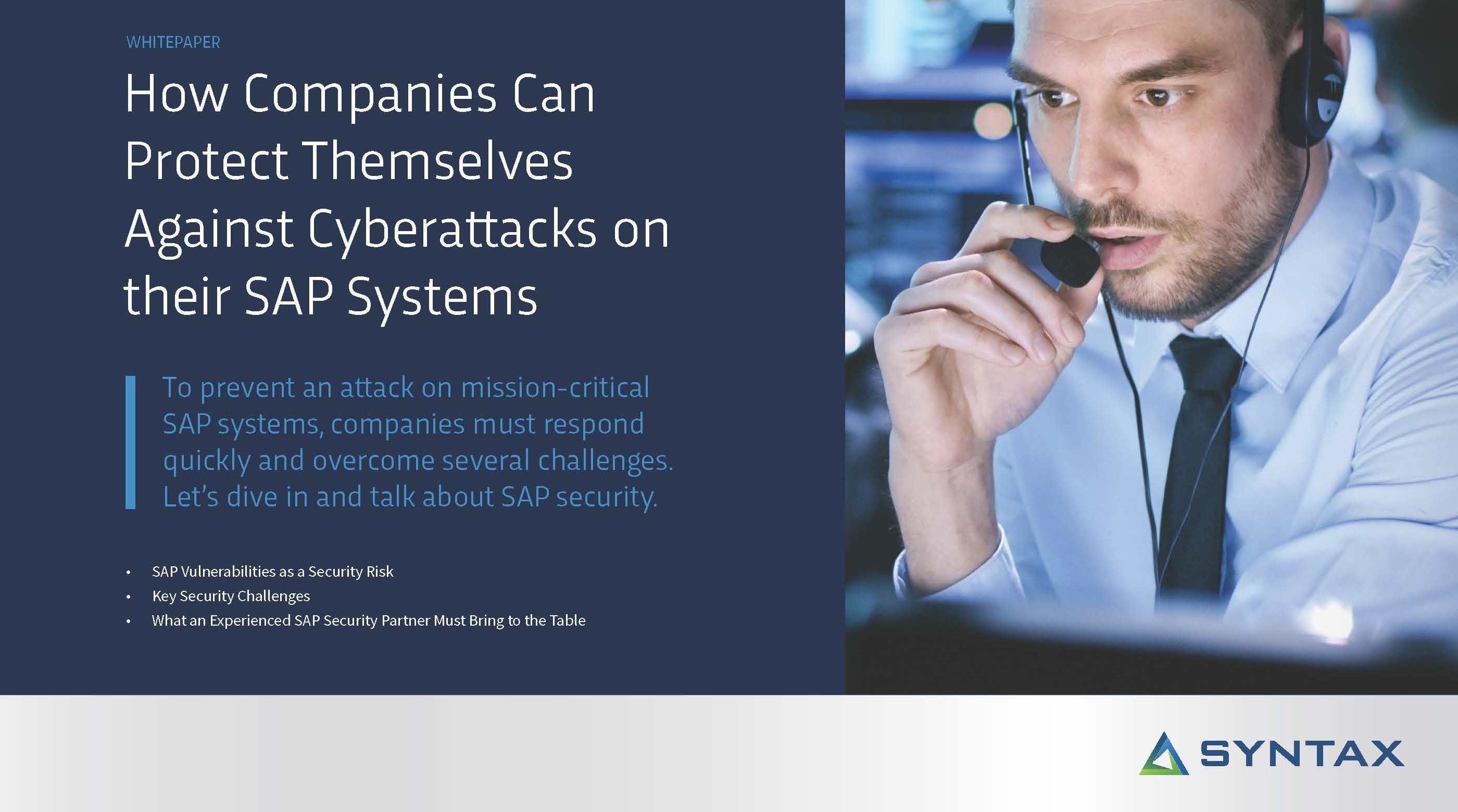 SAP Security for Companies: Whitepaper